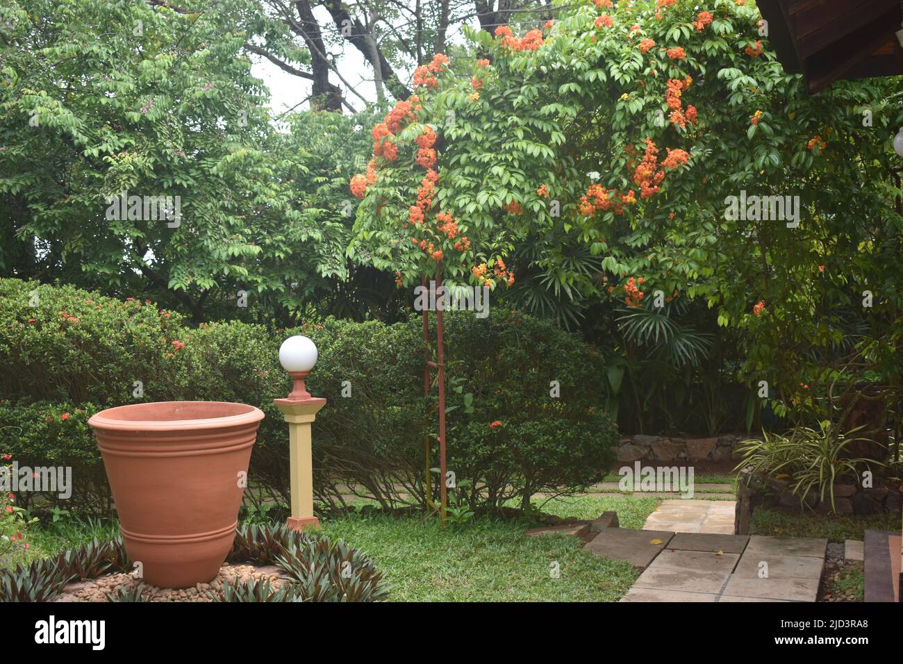 A landscaped garden with herbal trees, flowers, fruit trees, ponds ...