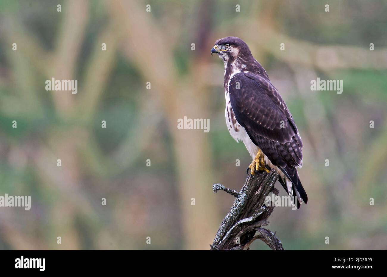 Augur lake hi-res stock photography and images - Alamy