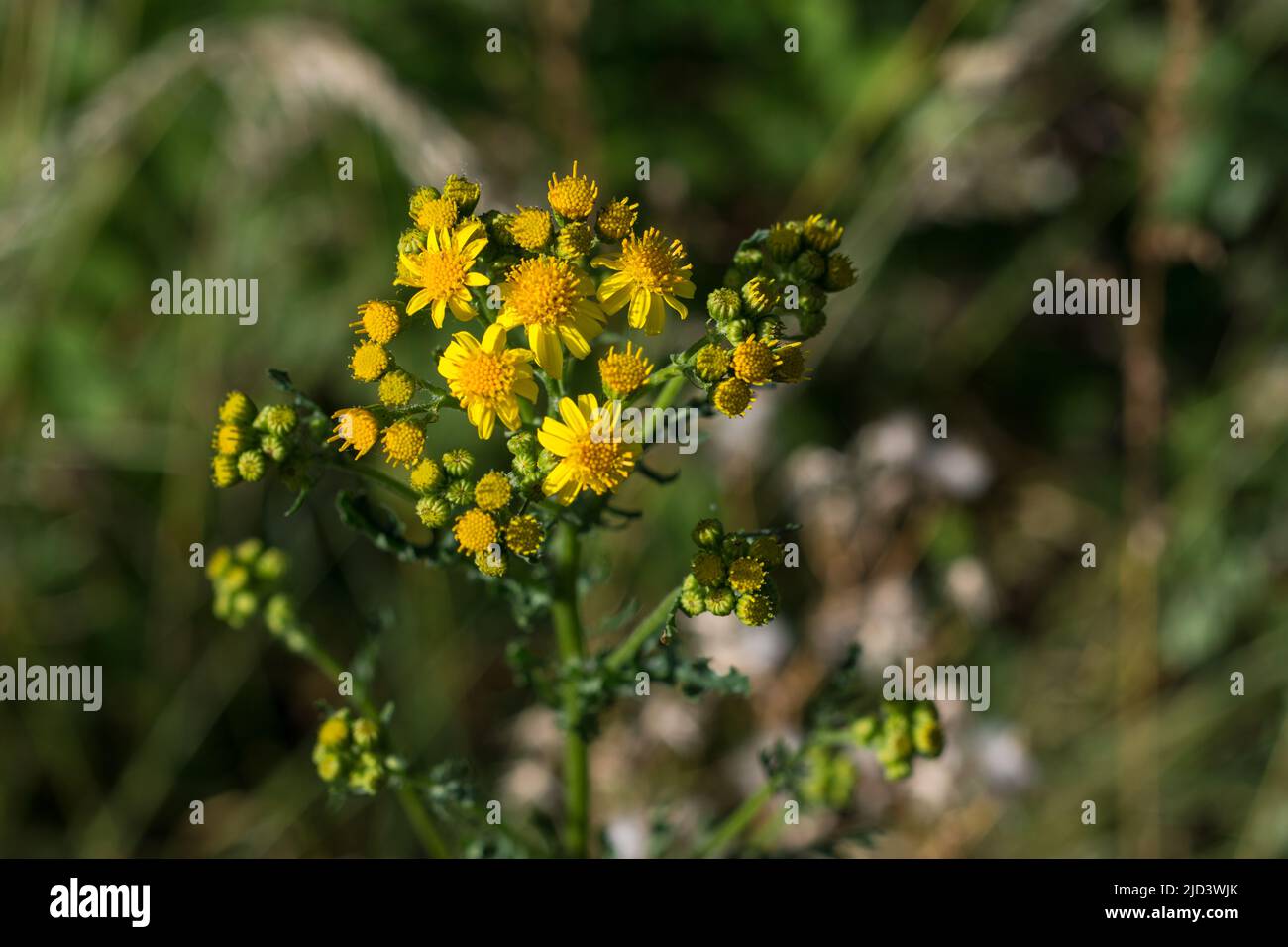 Hollow ponds row boat hire hi-res stock photography and images - Alamy