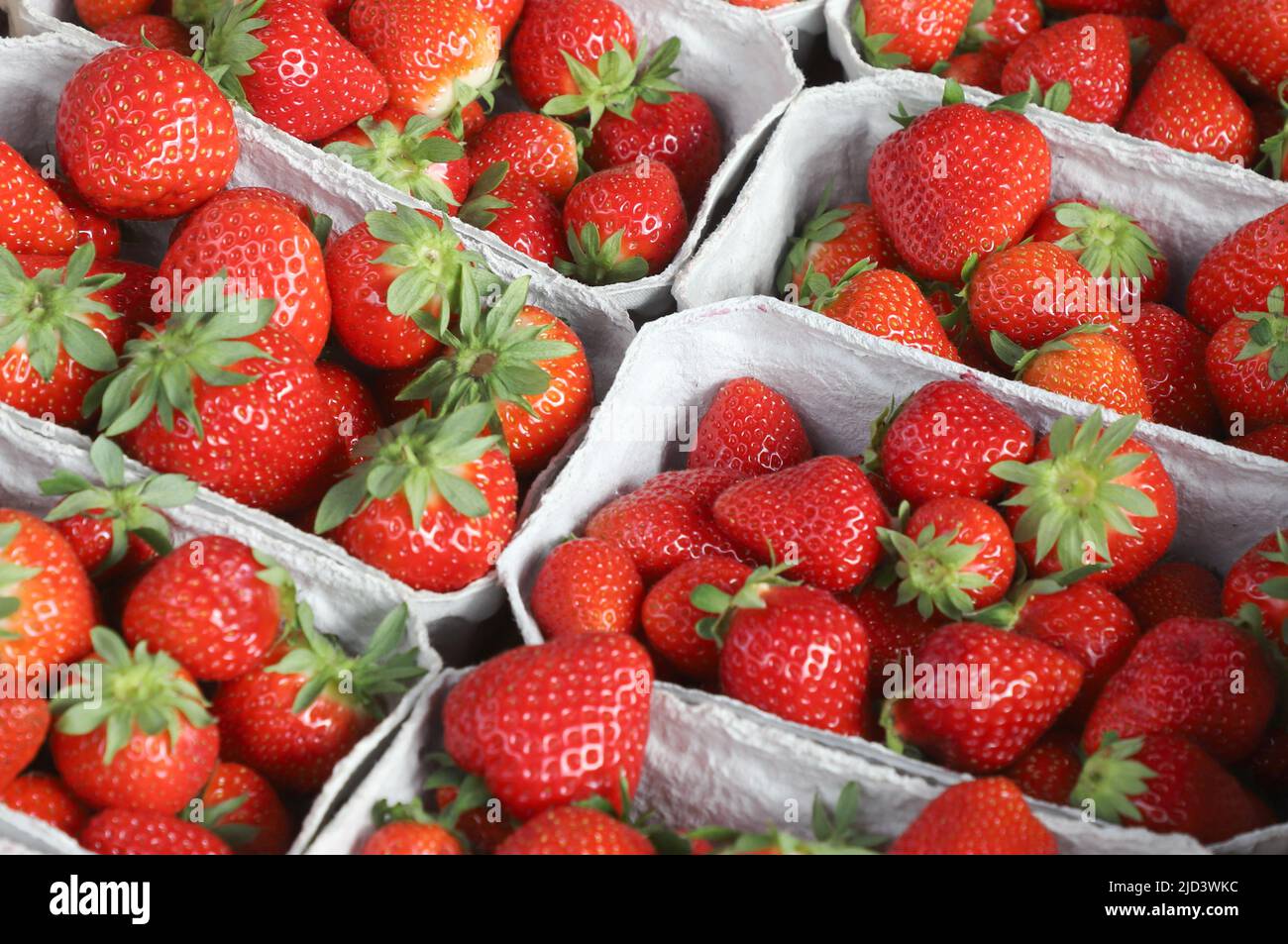 Ripe strawberries in cardboard cartons for sale Stock Photo - Alamy