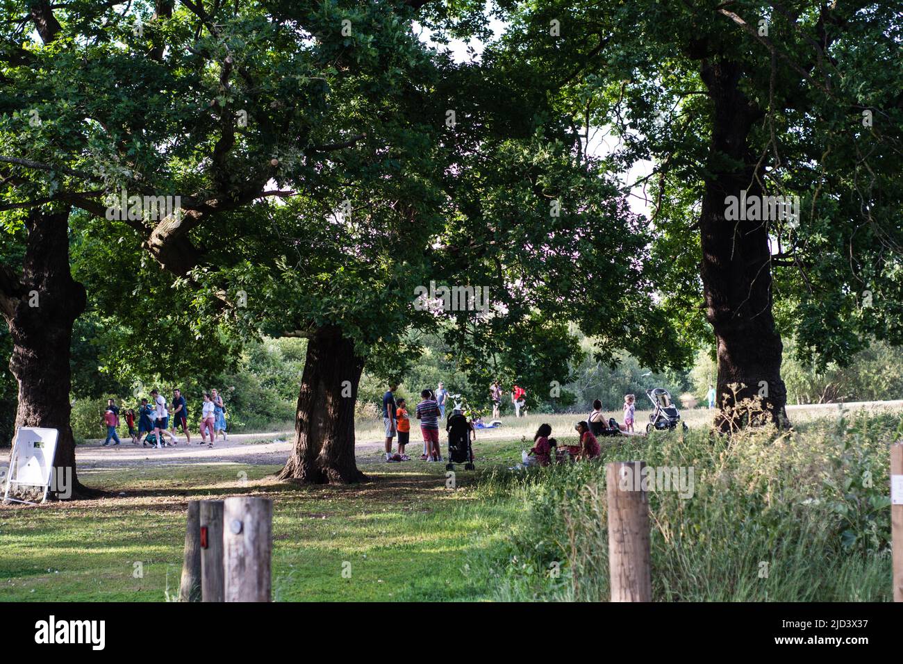 Hollow ponds row boat hire hi-res stock photography and images - Alamy