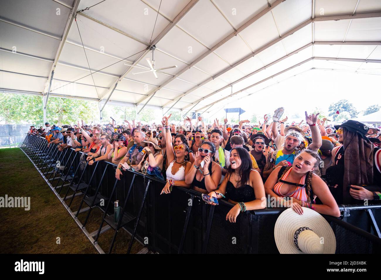 Bonnaroo 2022 People