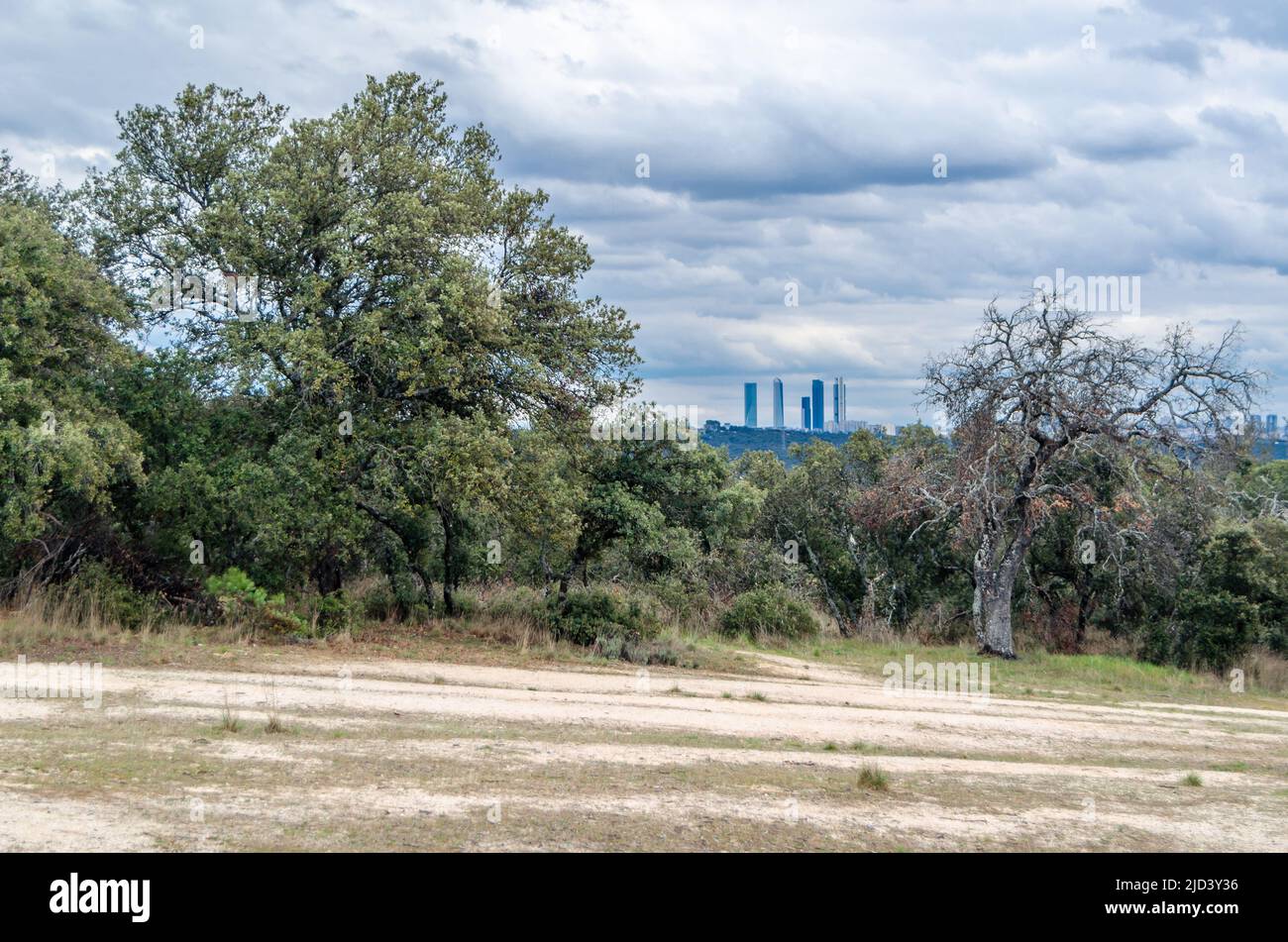 Landscape at el pardo hi-res stock photography and images - Alamy