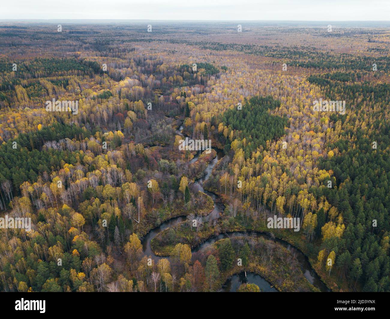 Forest with small river hi-res stock photography and images - Alamy