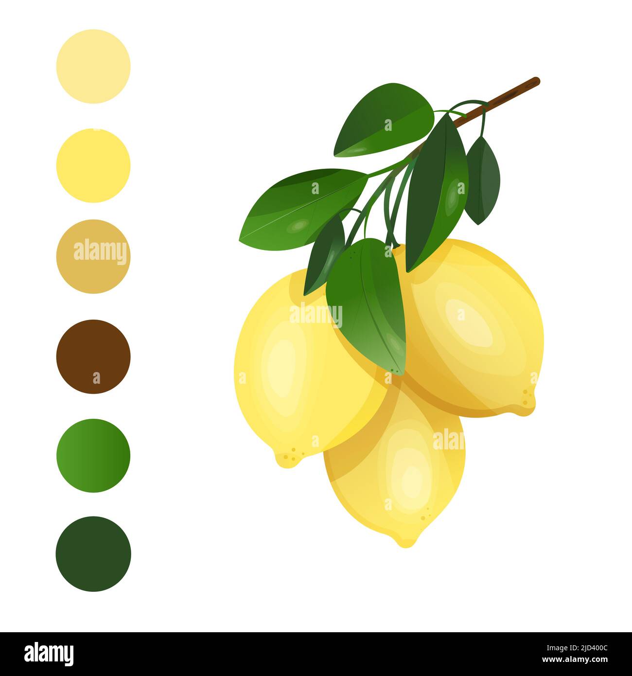 Lemon Branch Illustration, Hand drawn Tropical Yellow Fruit Clip art ...