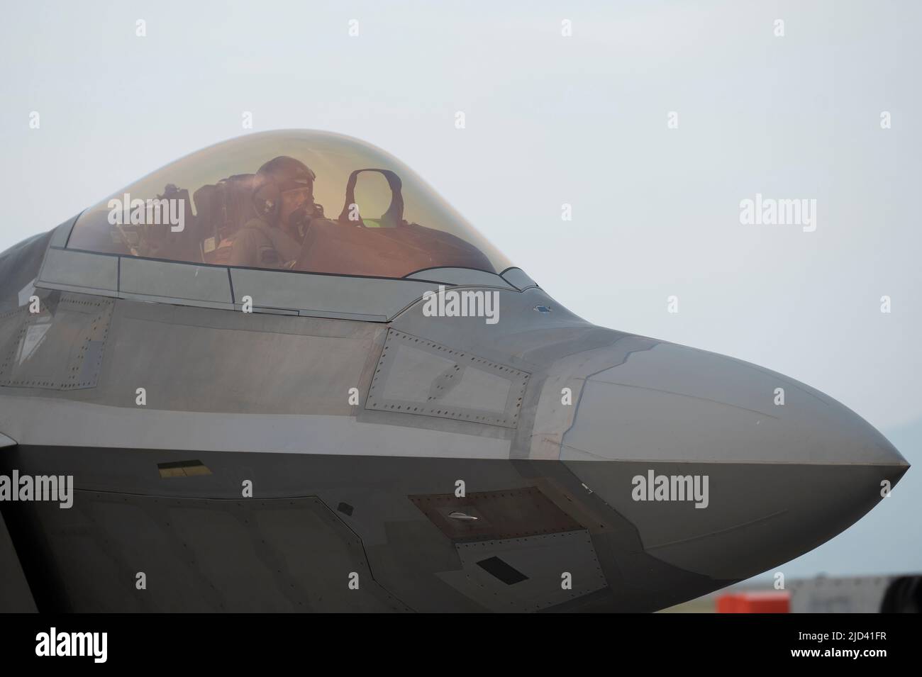 A U.S. Air Force F-22 Raptor fighter pilot assigned to the 199th ...