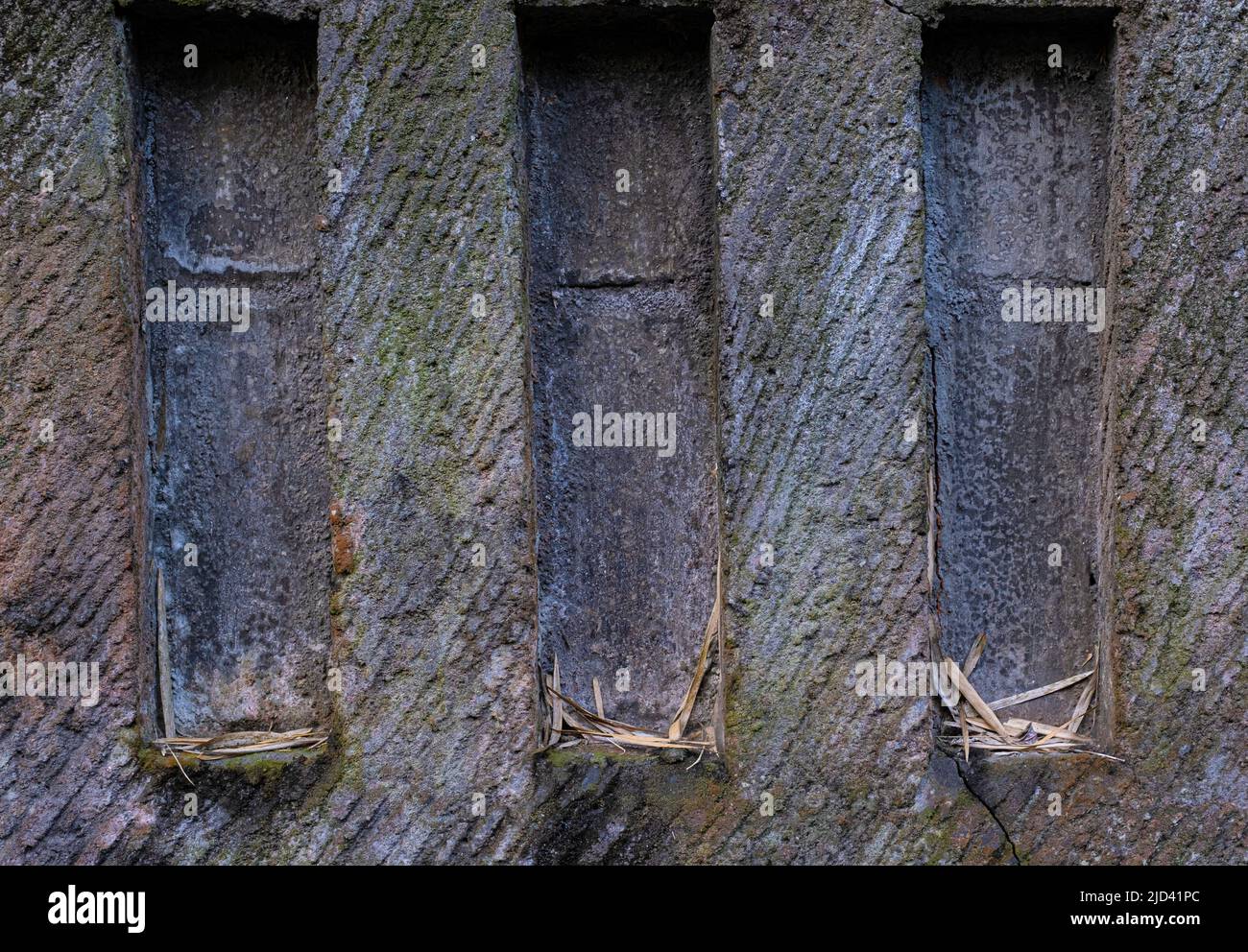 Concrete wall in Bali, Indonesia with three recessed vertical long ...