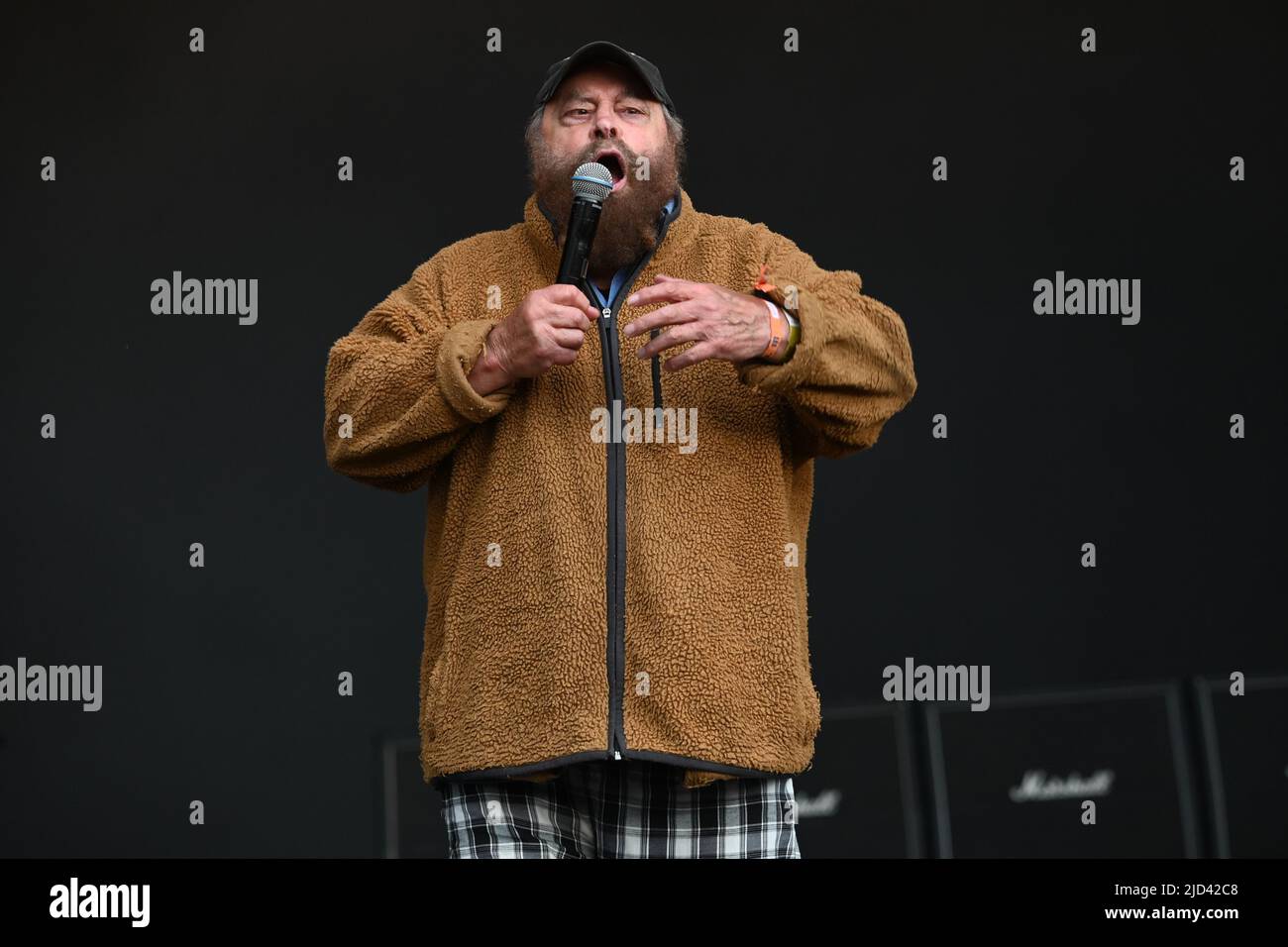 Actor Brian Blessed onstage at Bloodstock Open Air, Catton Hall on ...