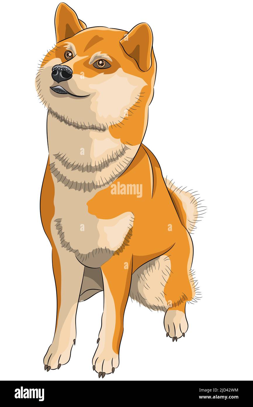 Smiling Japanese Akita Inu dog sitting. Vector illustration Stock ...
