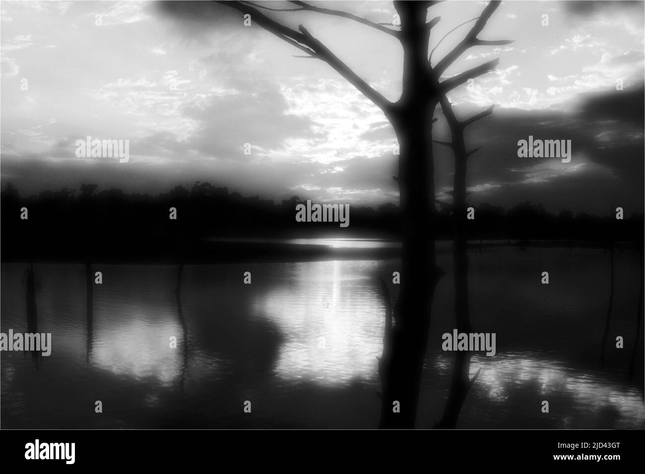 Swamp at sunset, Deer Park, Texas. Located at Bay Area Park near Nasa ...