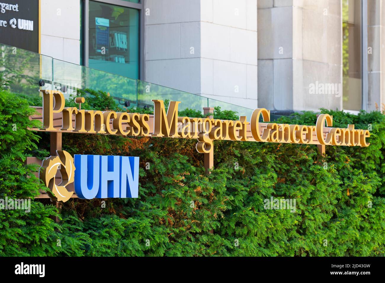 Princess Margaret Cancer Centre, UHN, University Health Network Stock ...