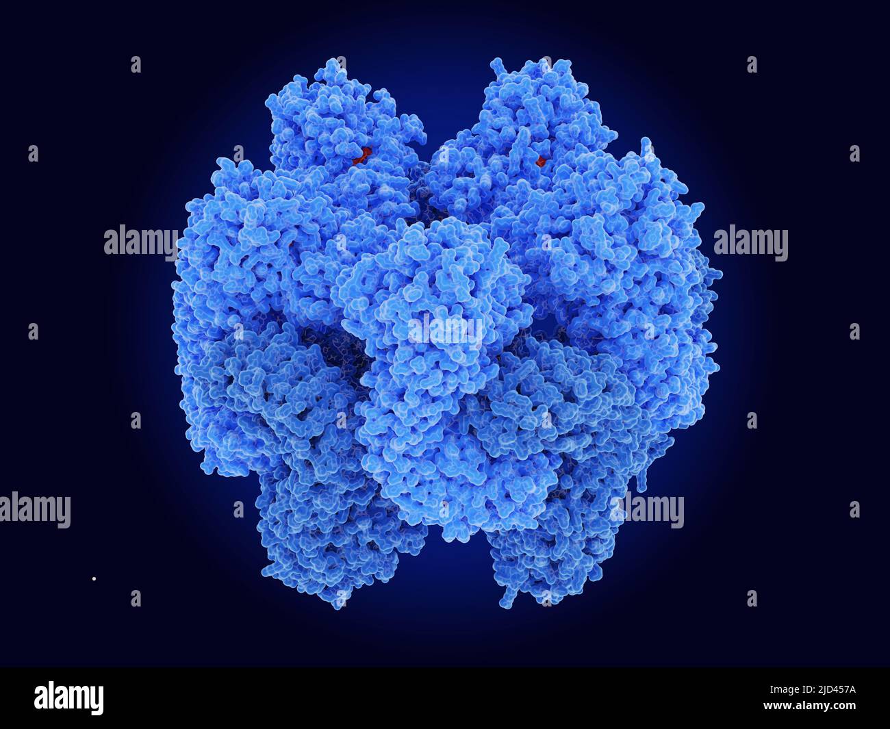 Decamer hi-res stock photography and images - Alamy