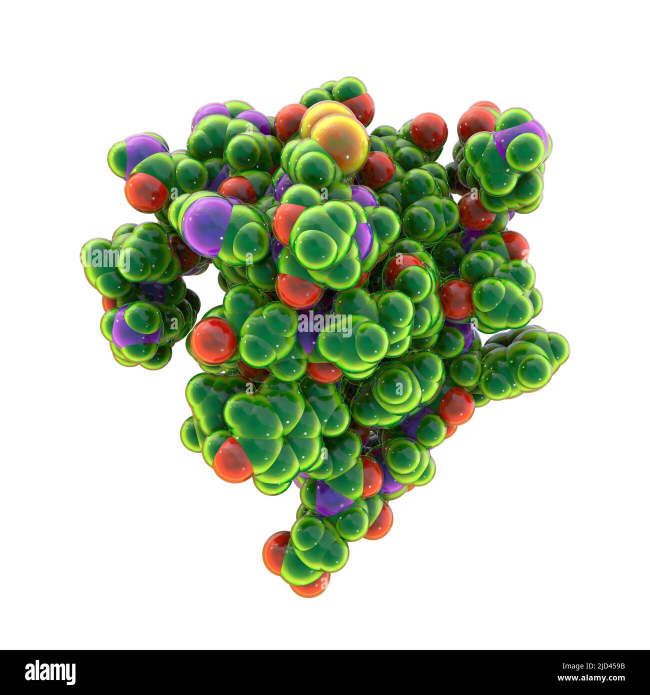 Insulin molecule, illustration Stock Photo - Alamy