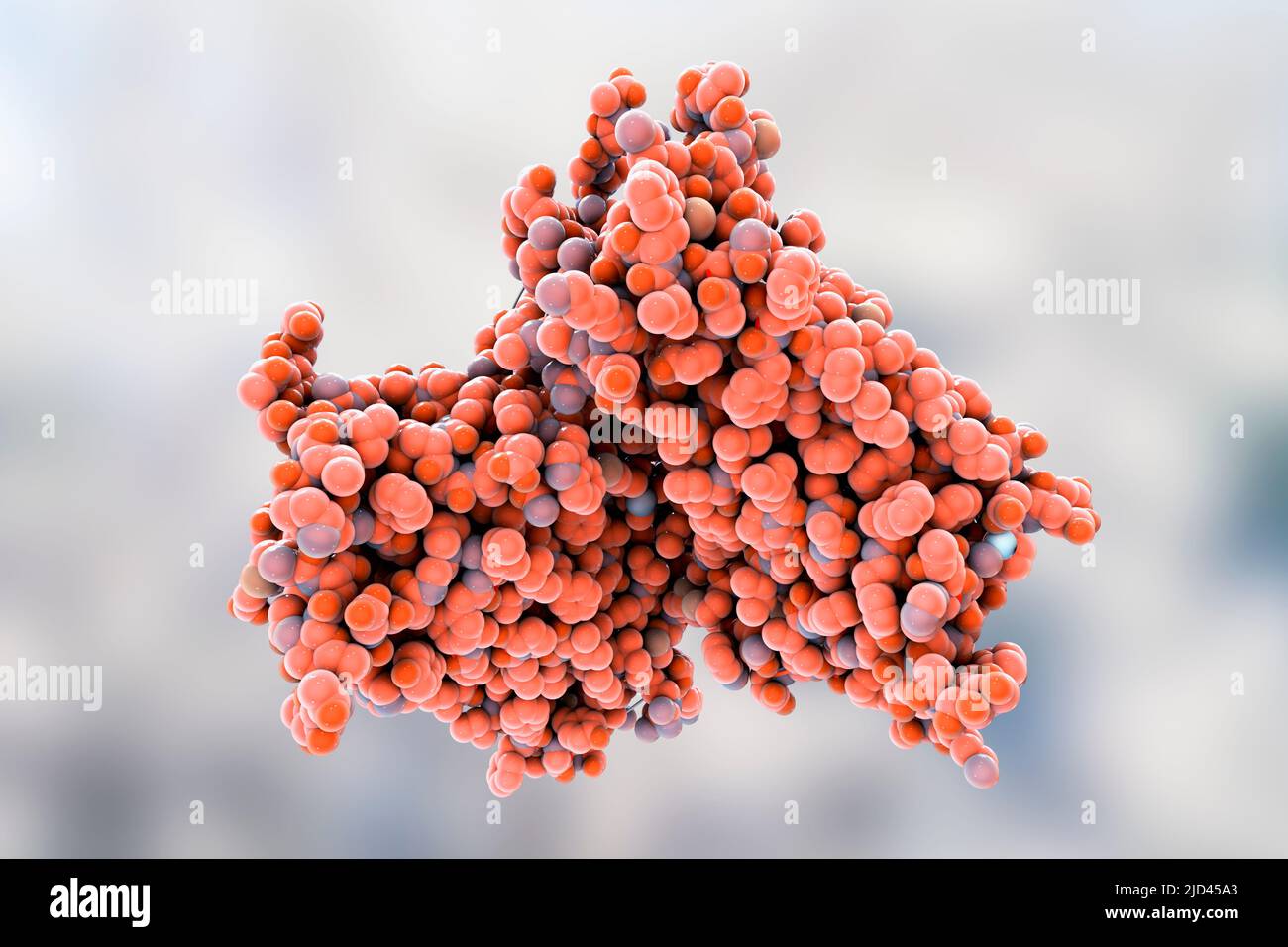 Rhodopsin molecule, illustration Stock Photo - Alamy