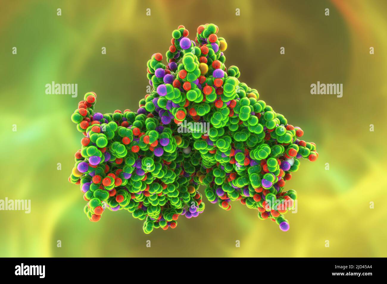 Rhodopsin Cycle Animation