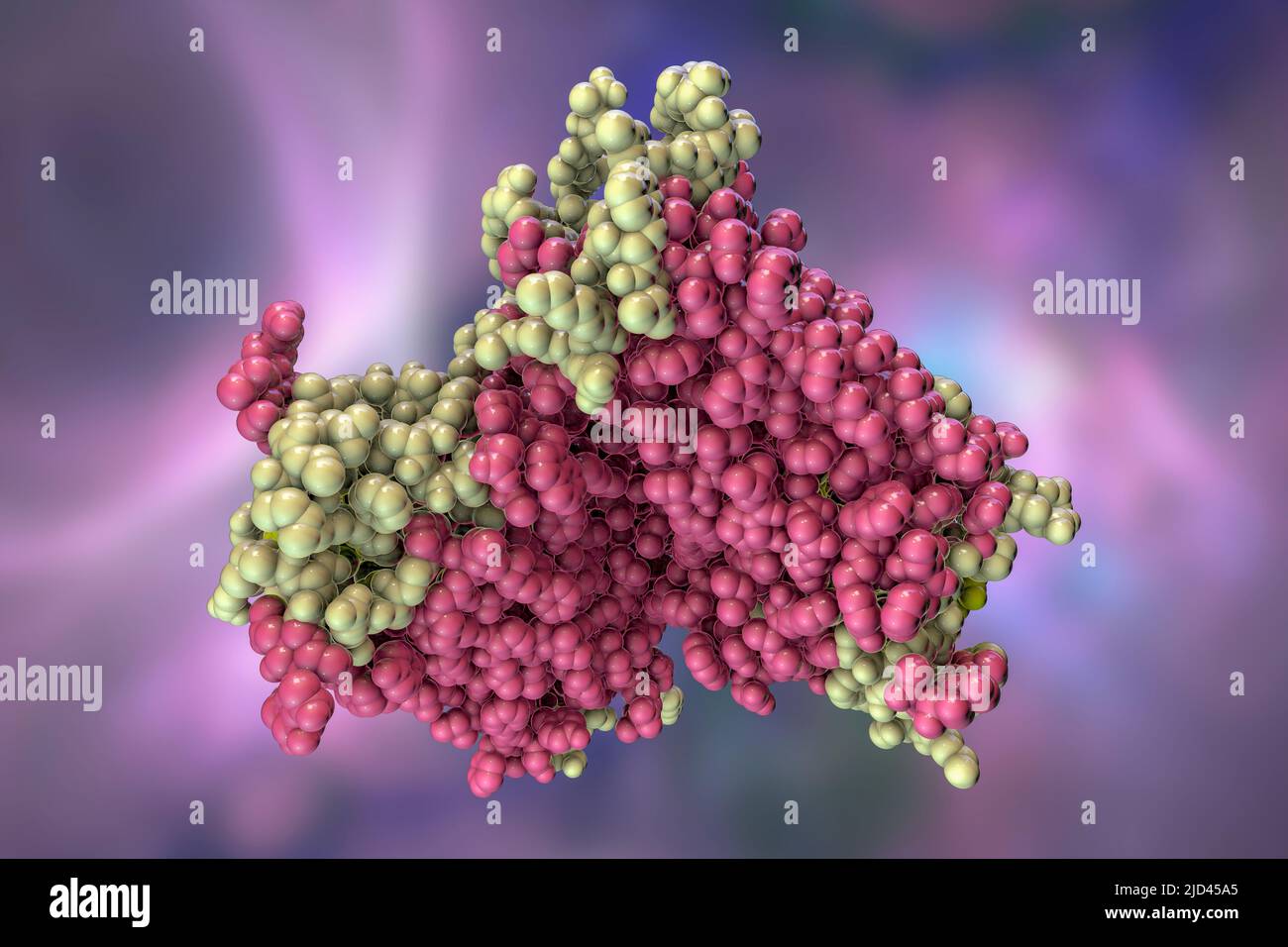 Rhodopsin molecule, illustration Stock Photo - Alamy