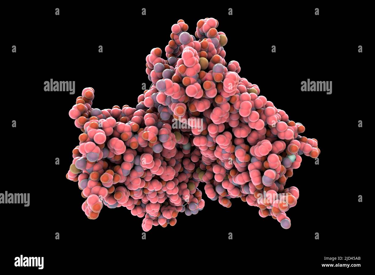 Rhodopsin molecule, illustration Stock Photo - Alamy