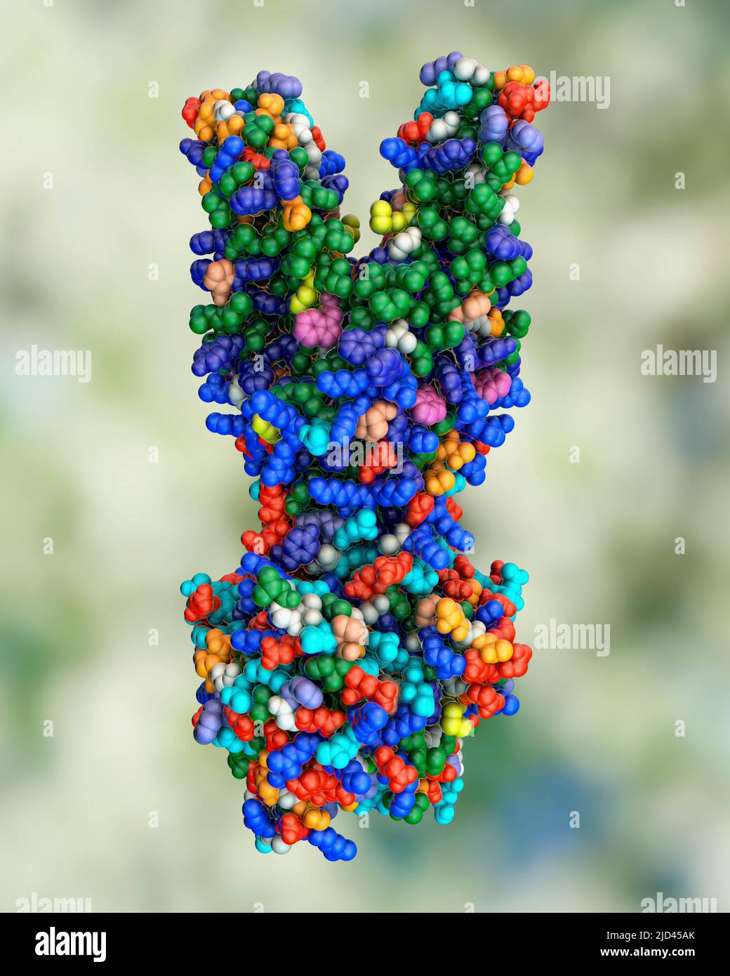 Multidrug transporter molecule, illustration Stock Photo - Alamy