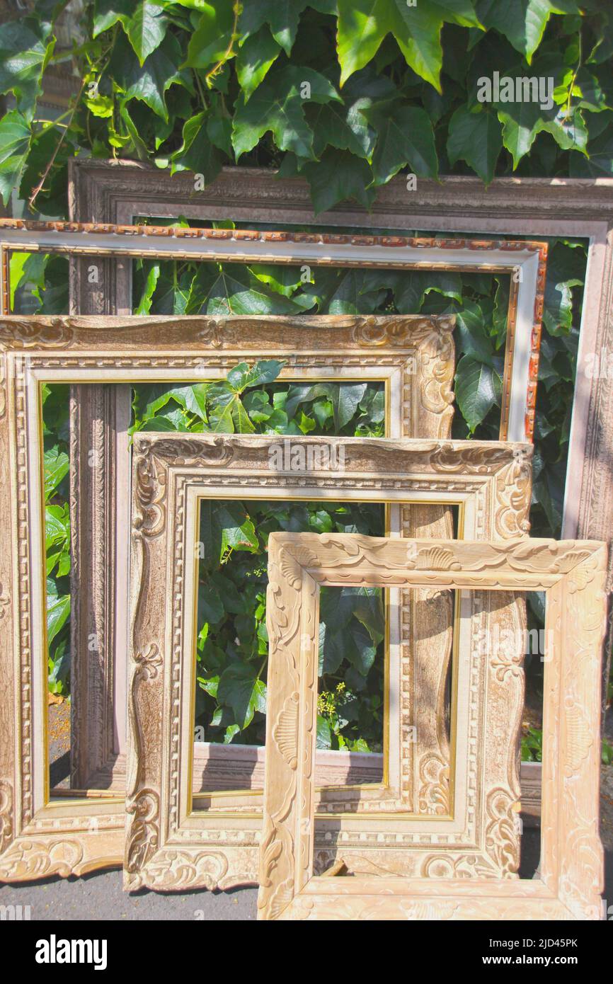 Empty old picture frames on green plants background Stock Photo - Alamy