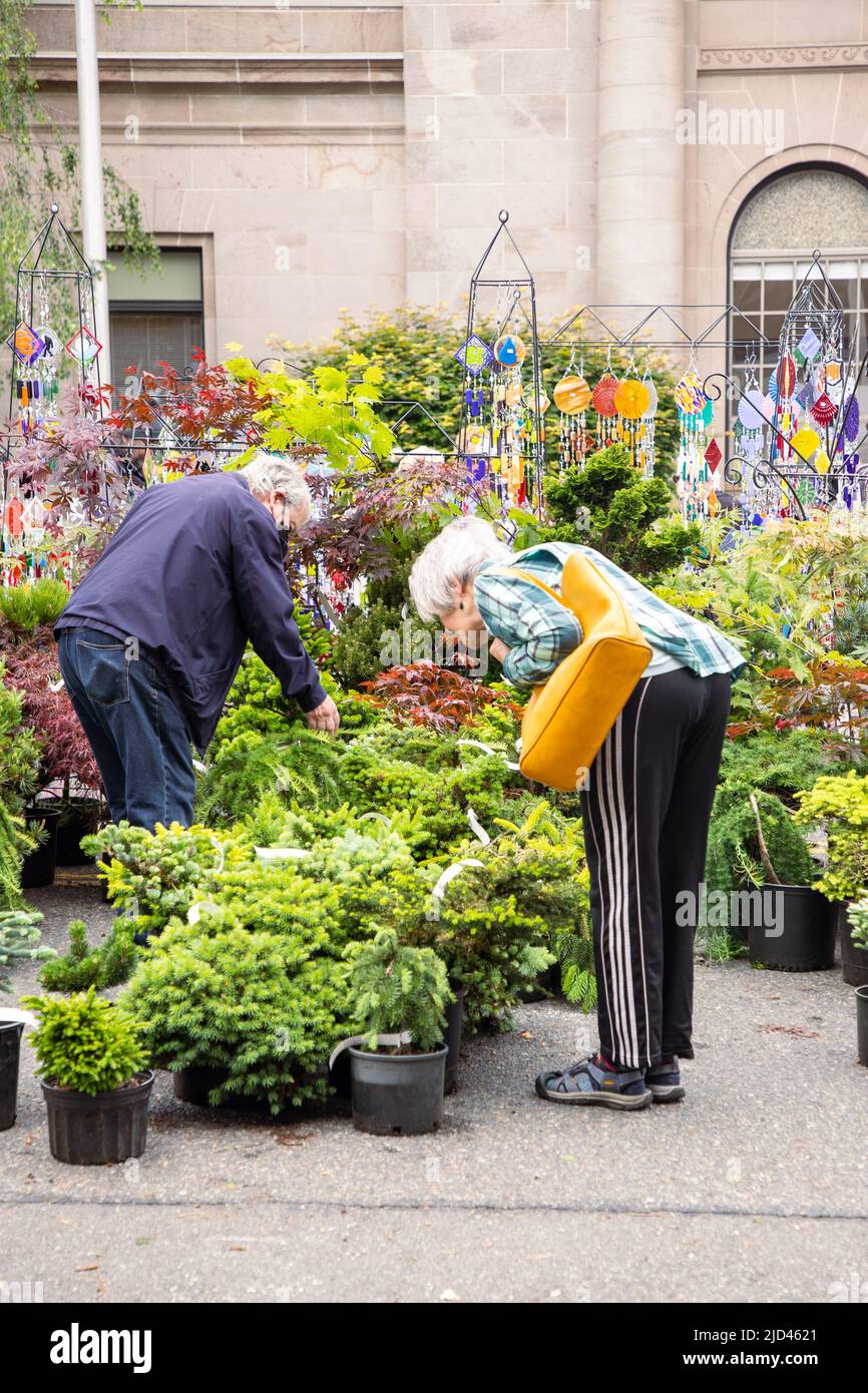 Everett, WA - USA -06-10-2022: Solticulture Garden Art Fair in Downtown ...