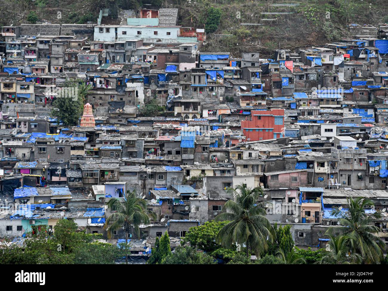 General view of a slum colony on a hill in Mumbai. Brihanmumbai ...