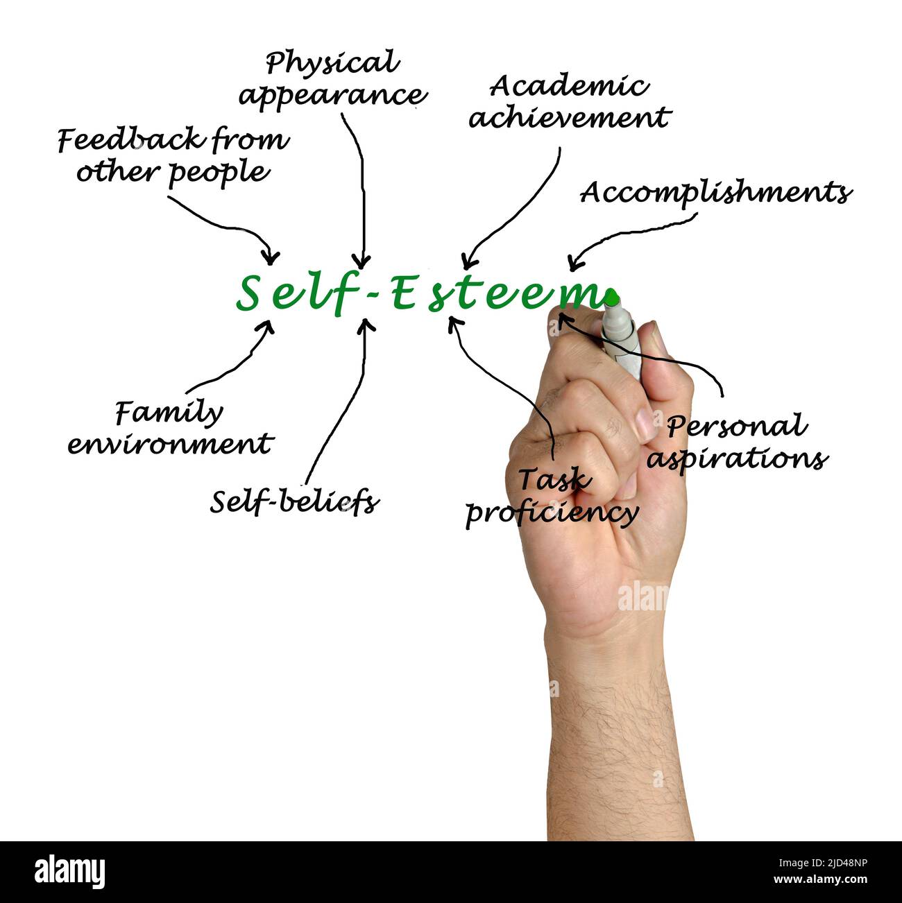 Eight factors influencing Self Esteem Stock Photo - Alamy