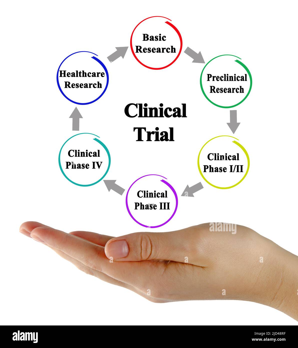 Six Components of Clinical trail Stock Photo - Alamy