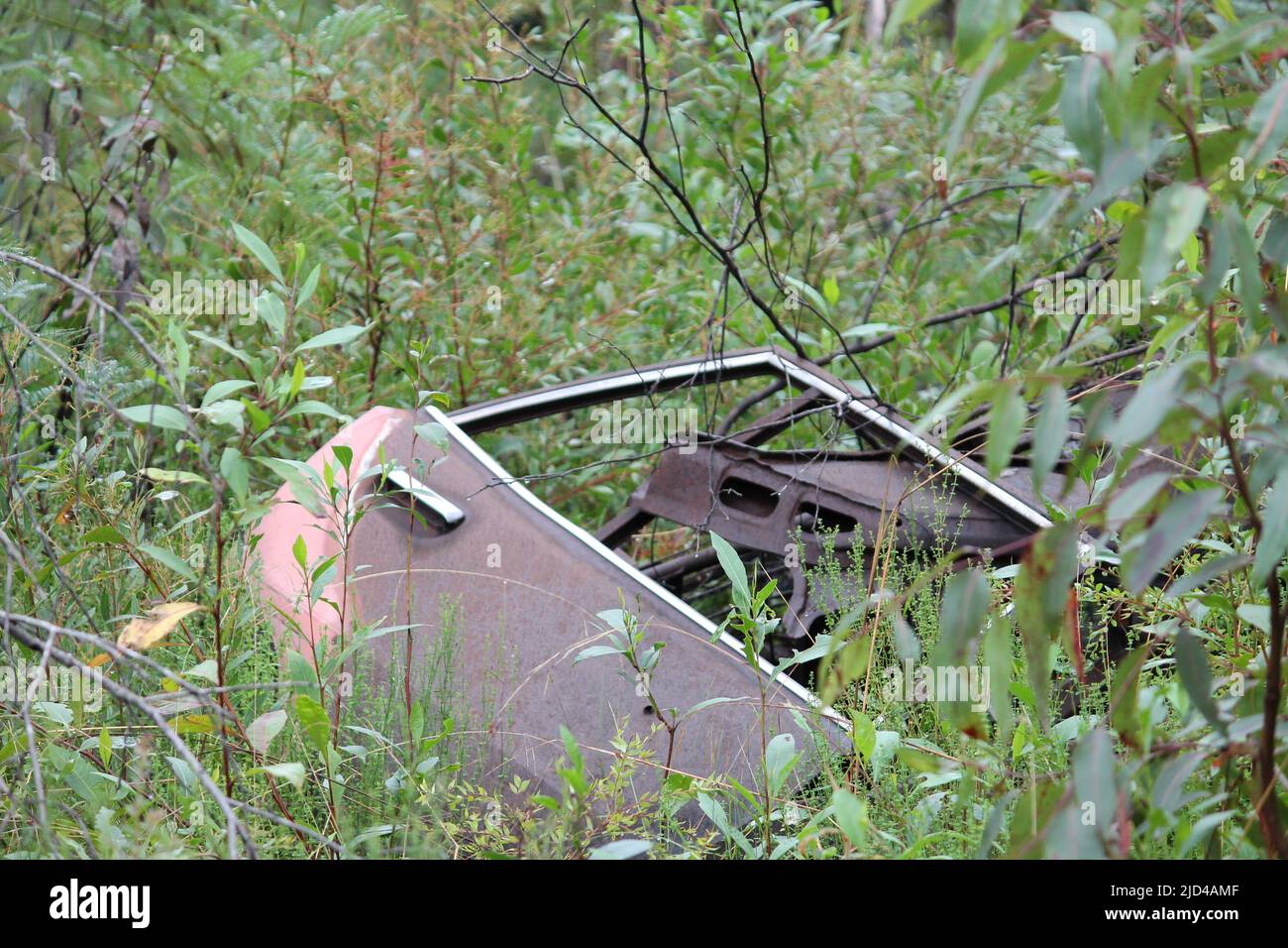 Rusty Car Door laying in bush Stock Photo - Alamy
