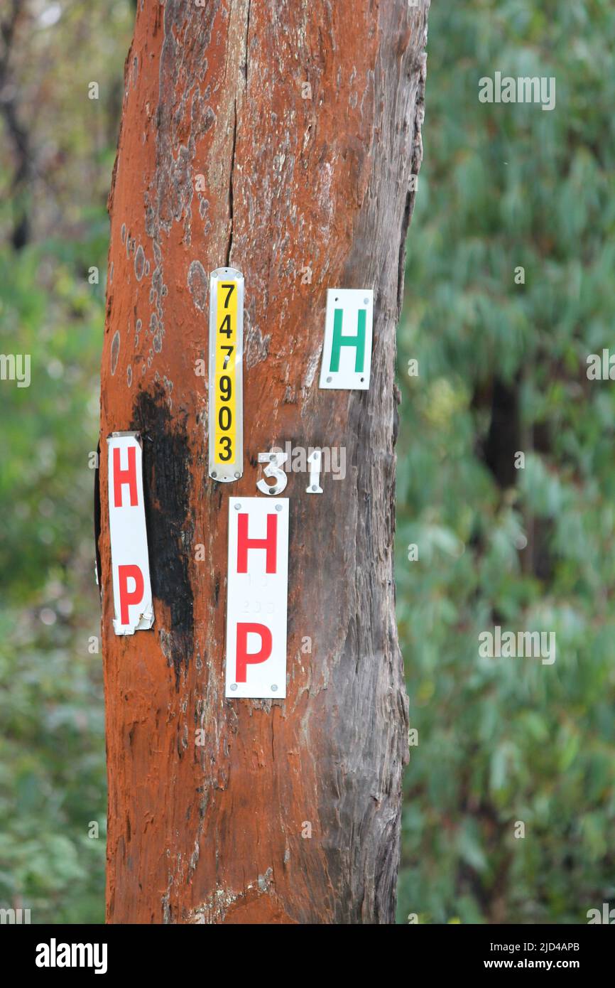 Telegraph Pole with numbers and letters Stock Photo - Alamy