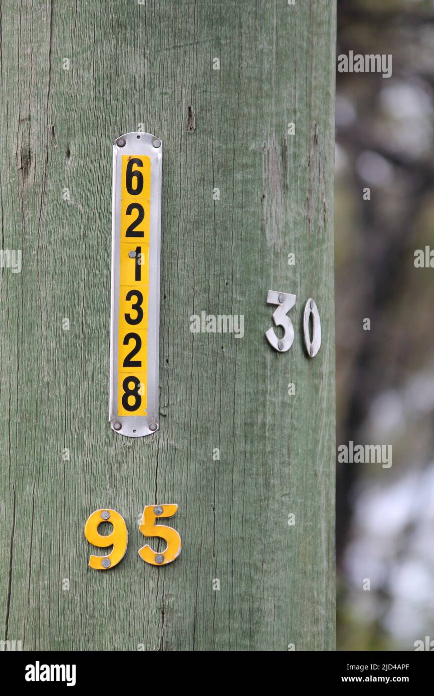 Telegraph Pole with numbers and letters Stock Photo - Alamy