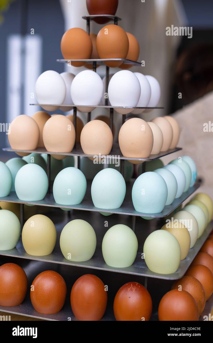 Eggs with Different colors of Shells placed on Top of a Display Stand ...