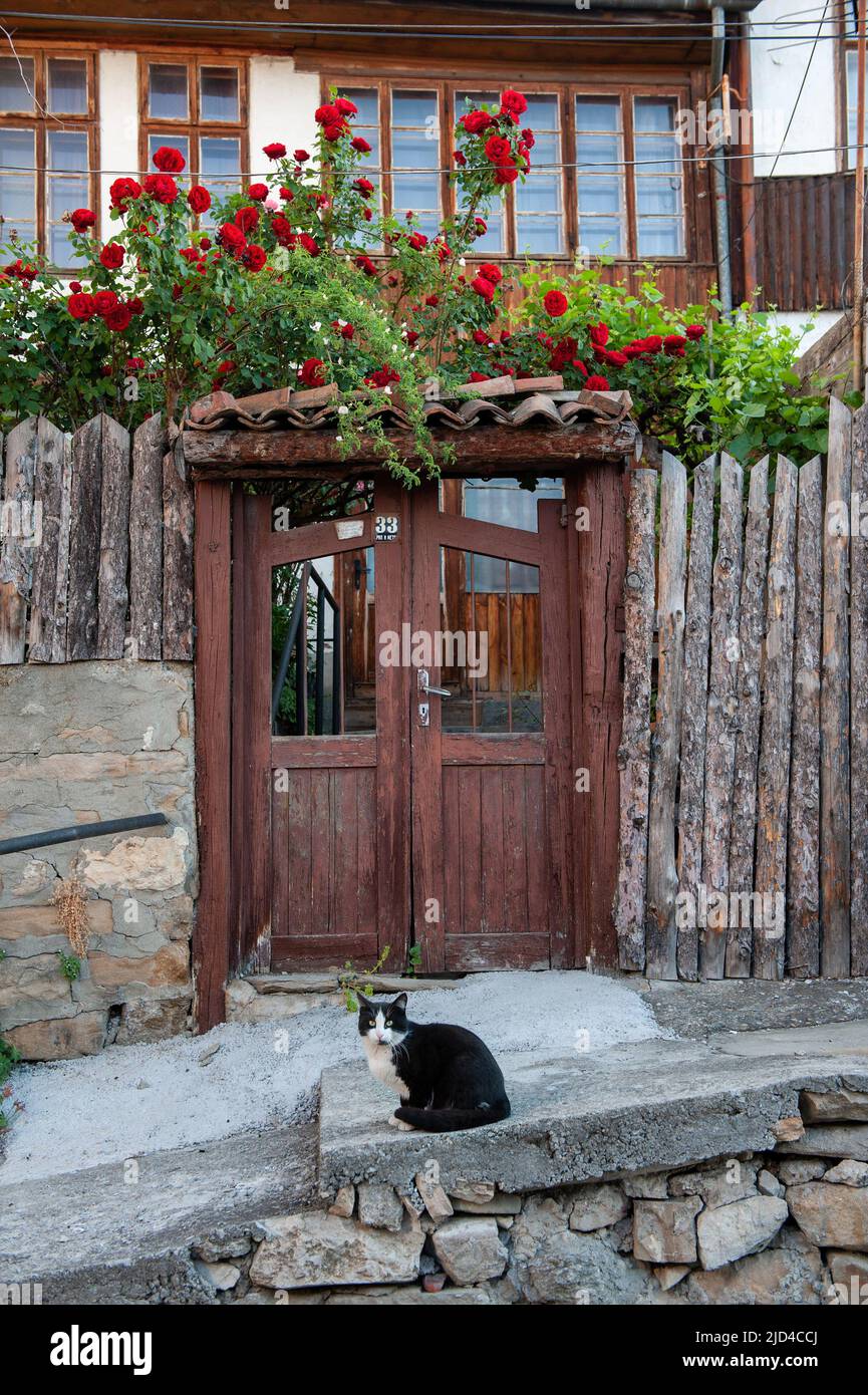 The unique architecture of the Bulgarian town of Veliko Tarnovo, known ...