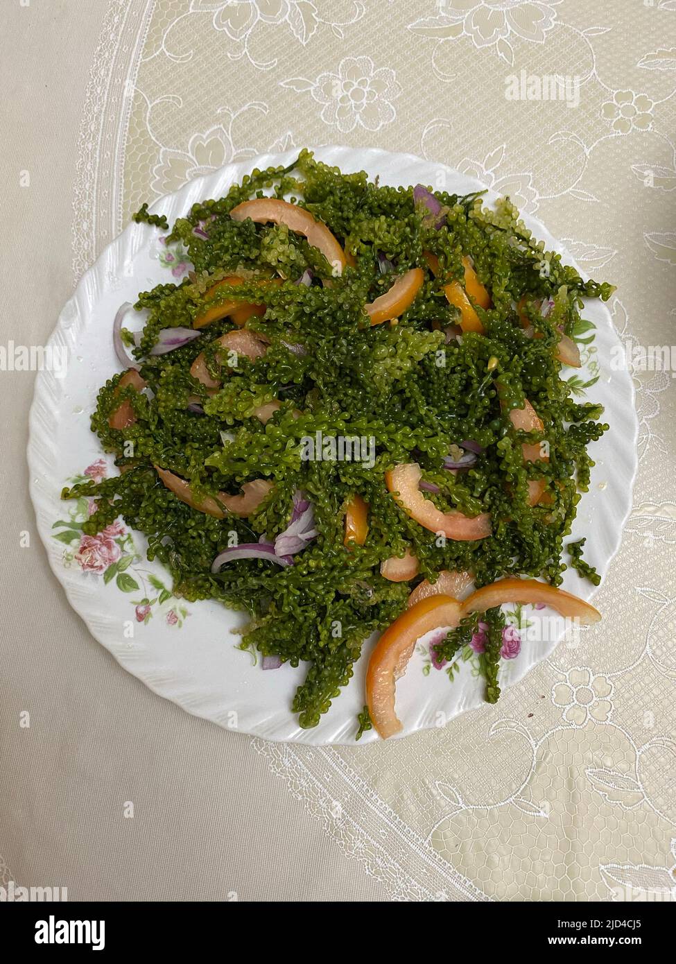 Caulerpa lentillifera hi-res stock photography and images - Alamy