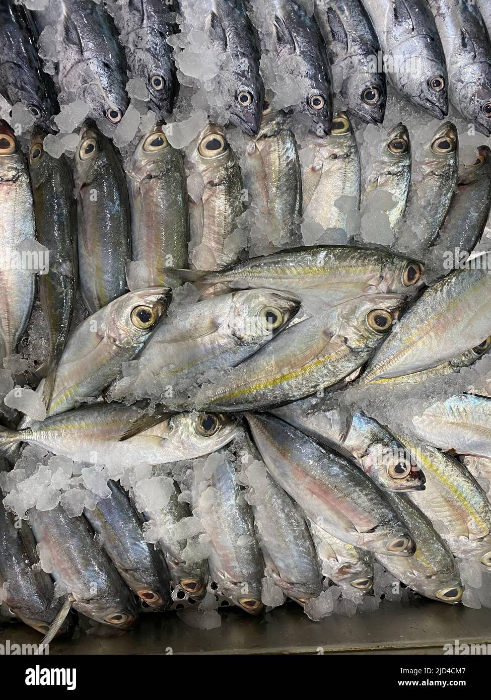 Philippine fish market matambaka hi-res stock photography and images ...