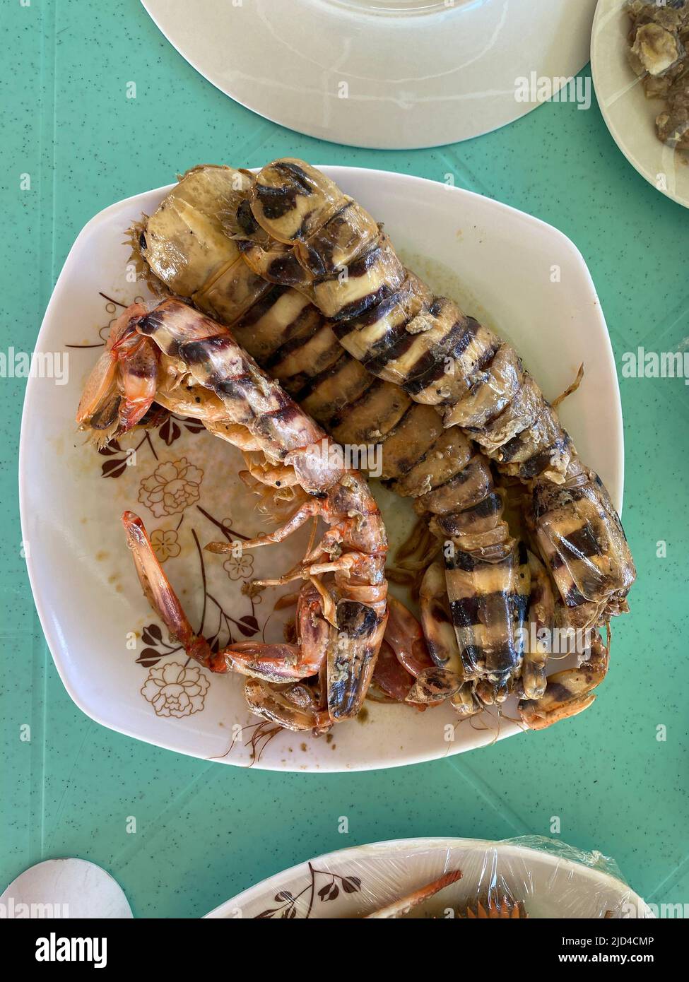 Photo of a mantis shrimp, sea locust, prawn killer or thumb splitter, a ...