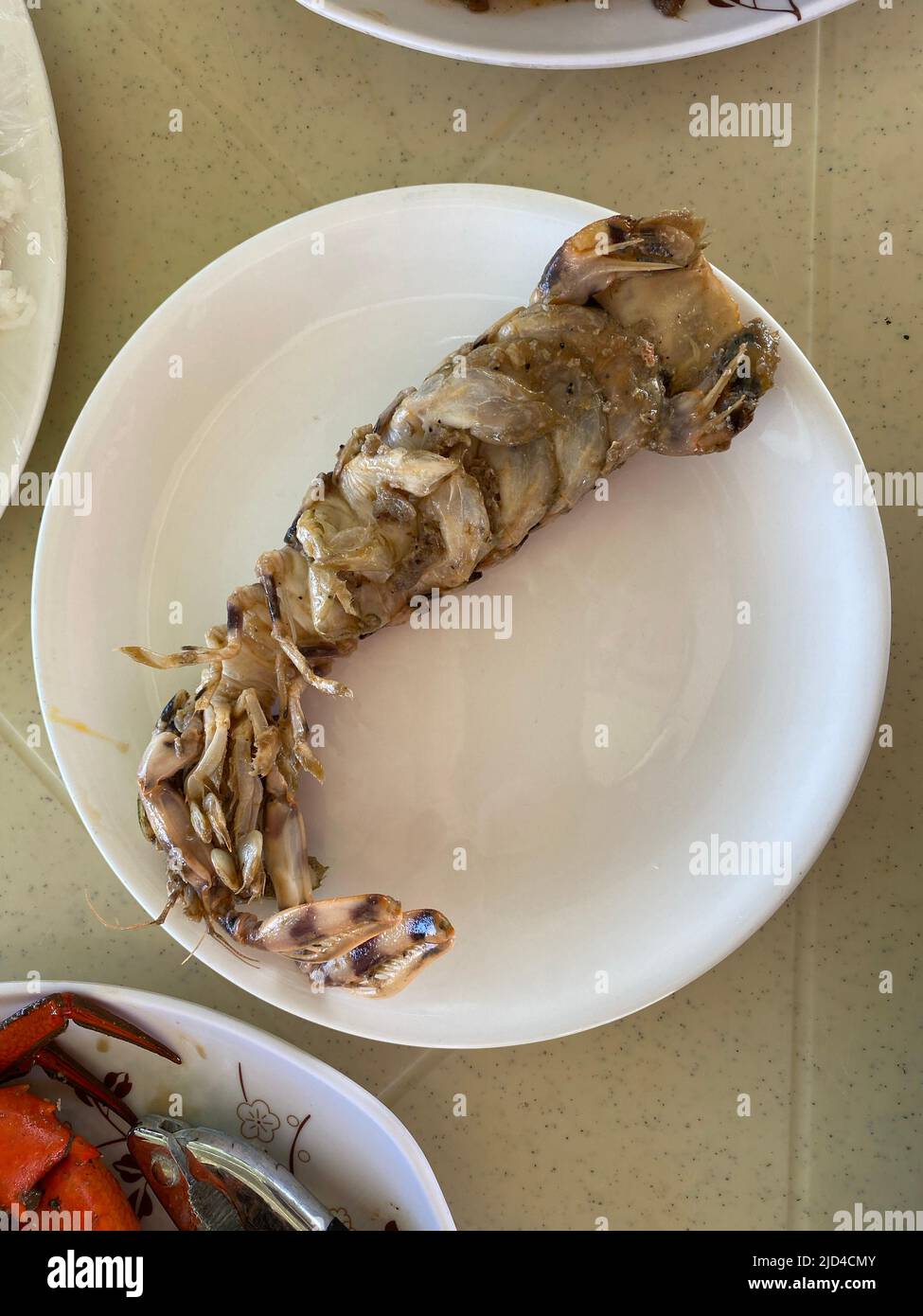 Photo of a mantis shrimp, sea locust, prawn killer or thumb splitter, a ...