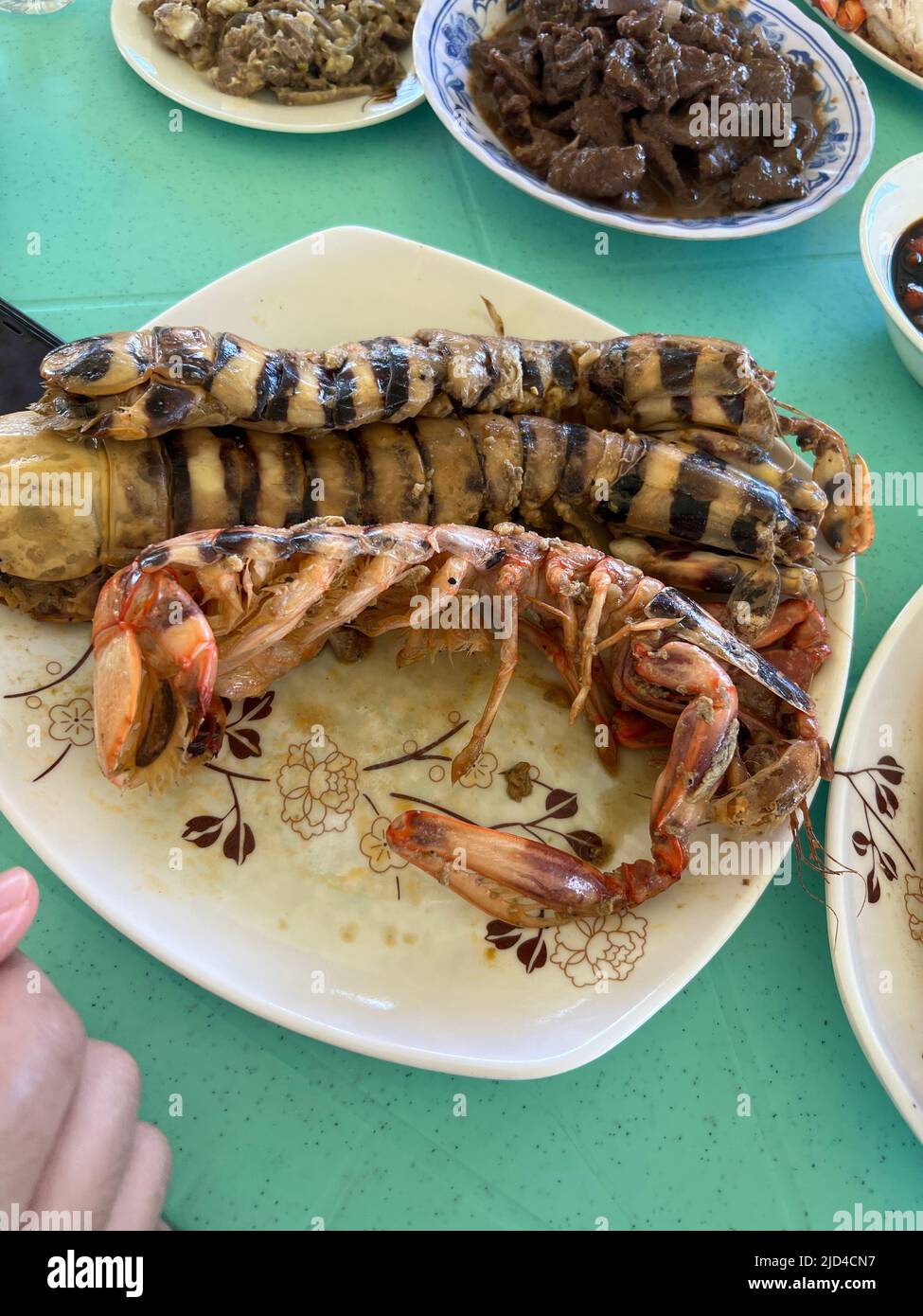Photo of a mantis shrimp, sea locust, prawn killer or thumb splitter, a ...