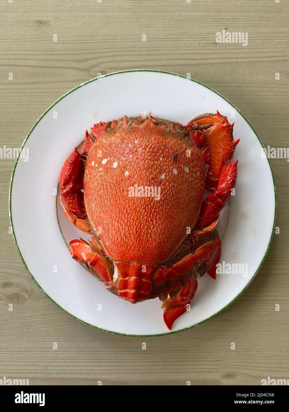 Photo of a cooked curacha, spanner crab or red frog crab or Ranina ...