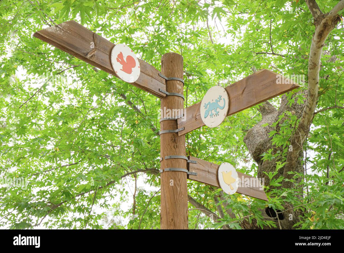 Zoo sign arrow hi-res stock photography and images - Alamy