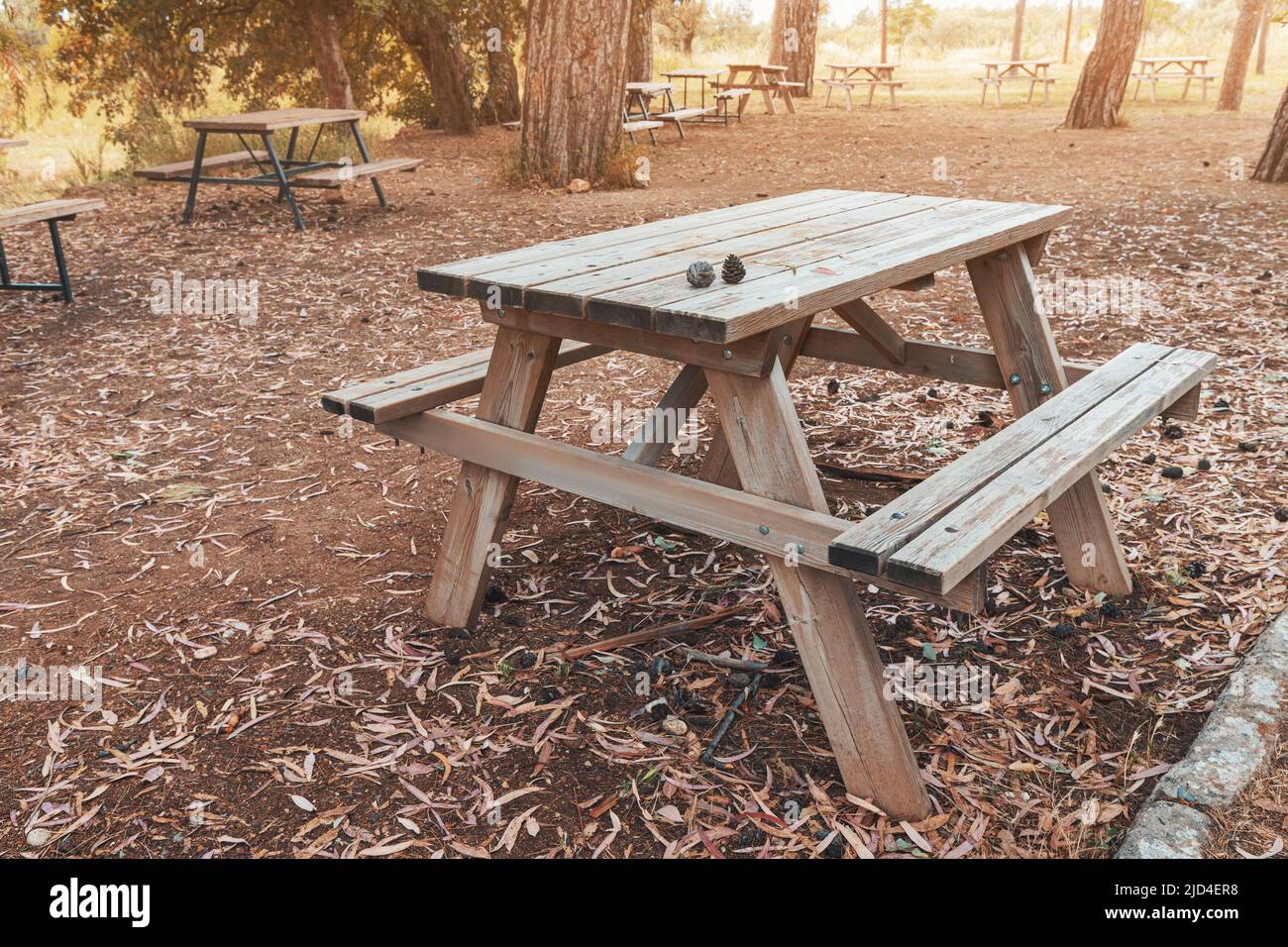 tables and benches for people to relax in a nature park or camping ...