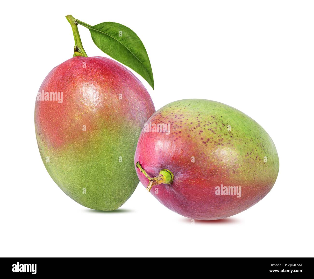 Mango isolated on white background Stock Photo - Alamy