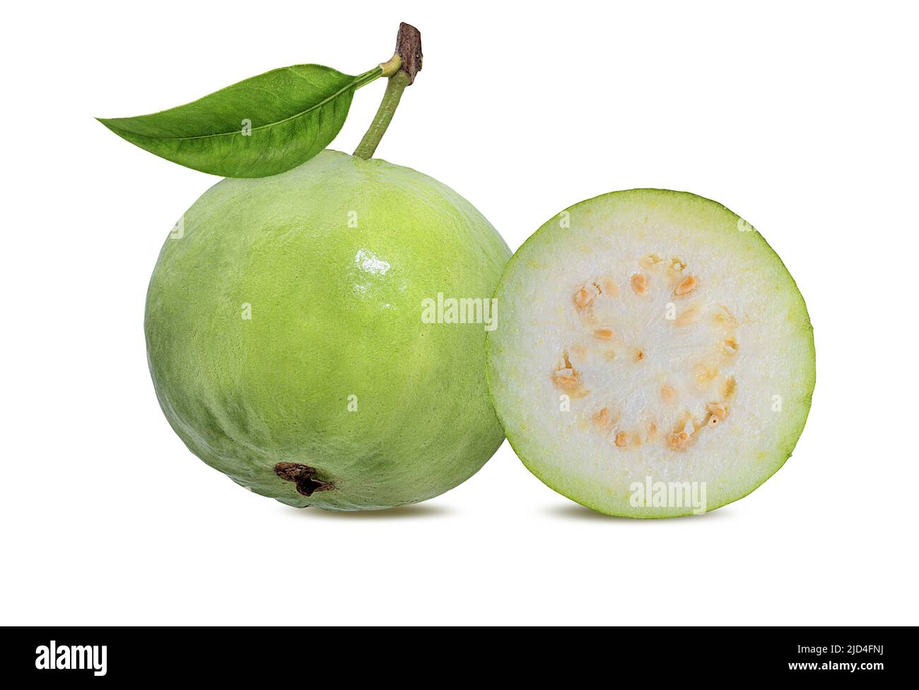Guava isolated on white background Stock Photo - Alamy