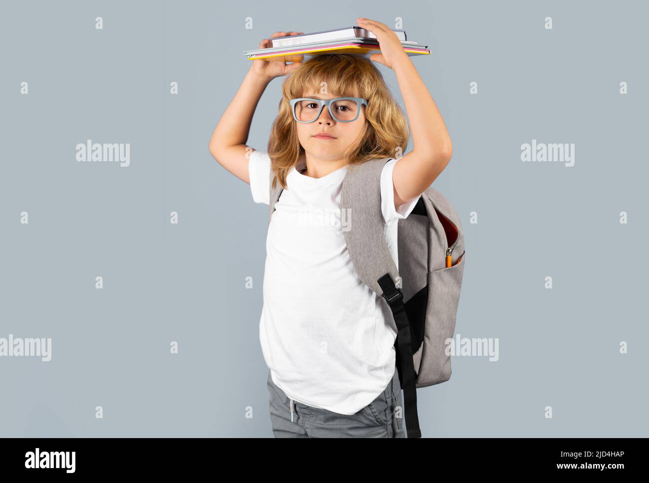 Portrait of pupil student hold book on grey isolated studio background ...