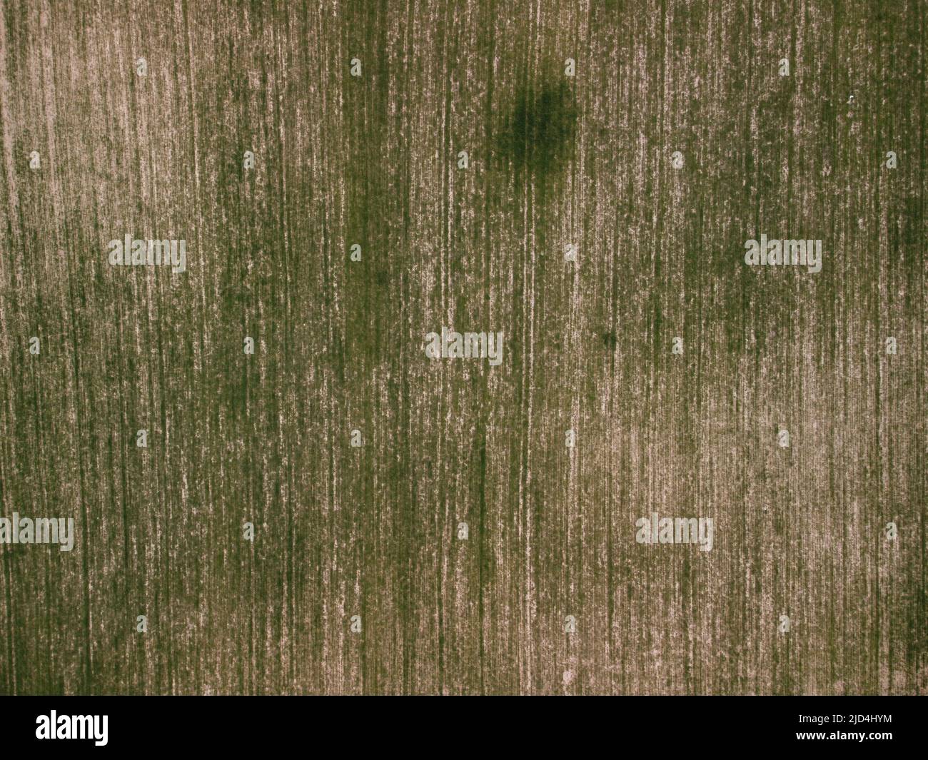 Aerial view on Green wheat field in countryside. Field of wheat blowing ...
