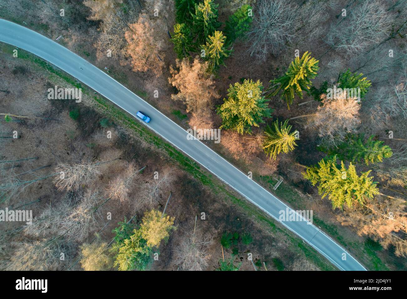 Aerial view of an road through German mixed forest. Asphalt curve lined ...