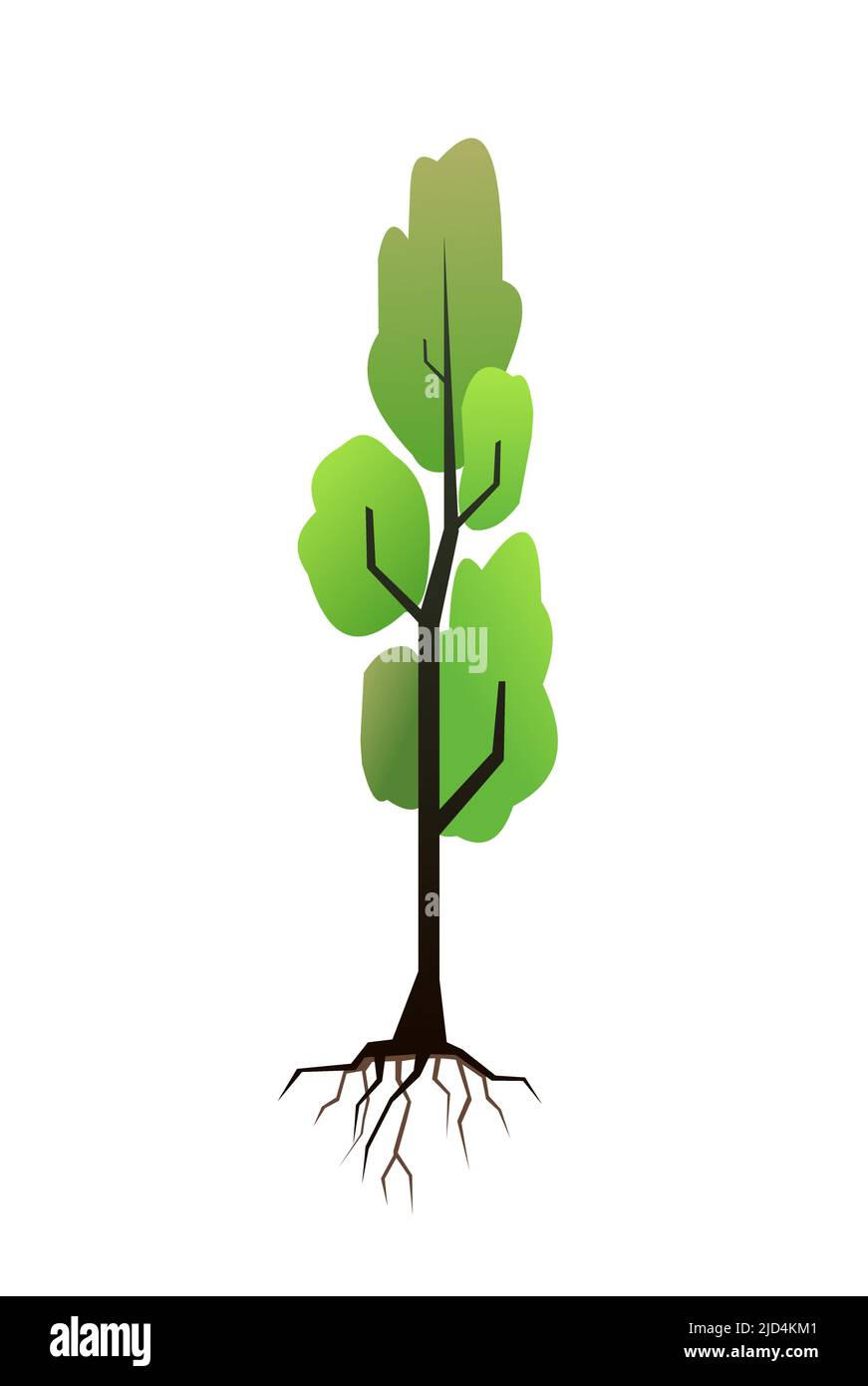 Seedlings of young trees with roots. Garden plants. Fruit plantings ...