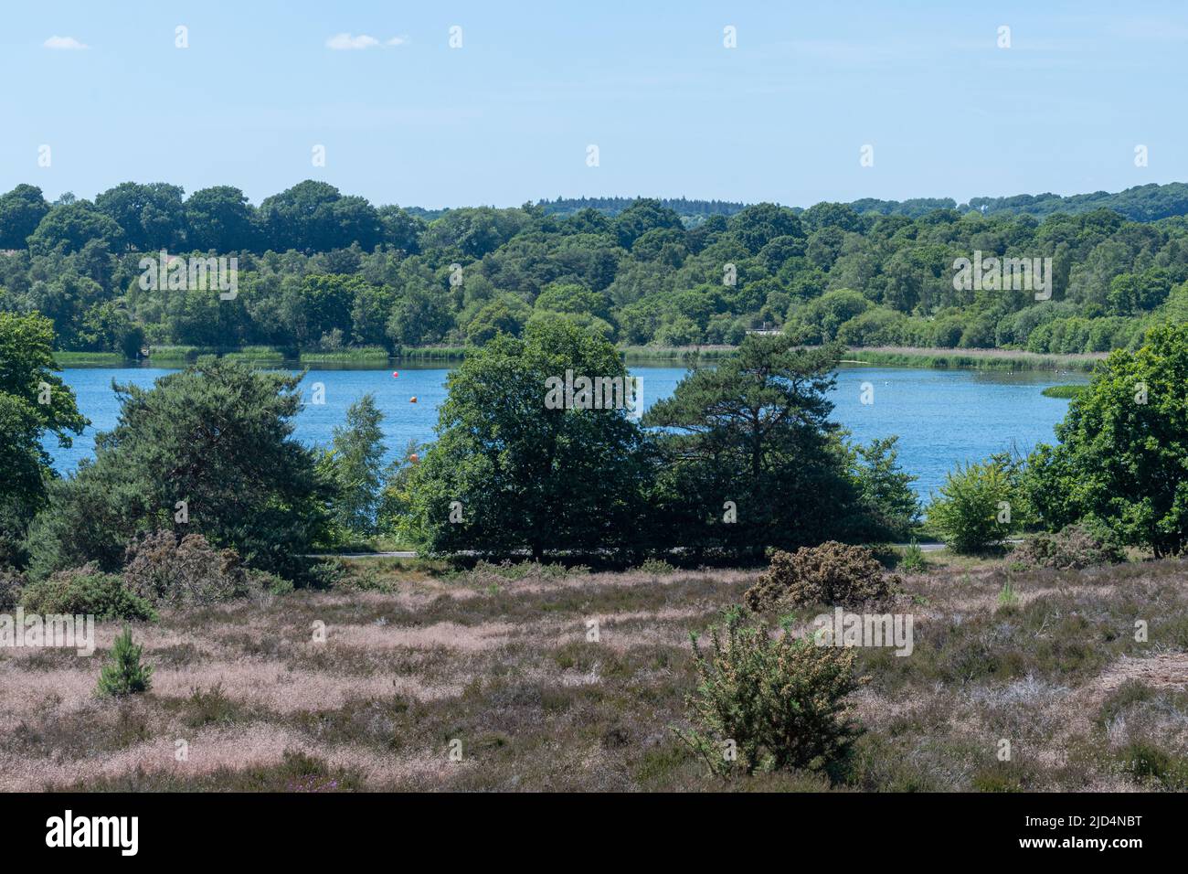 Summer uk landscape with lake hi-res stock photography and images - Alamy