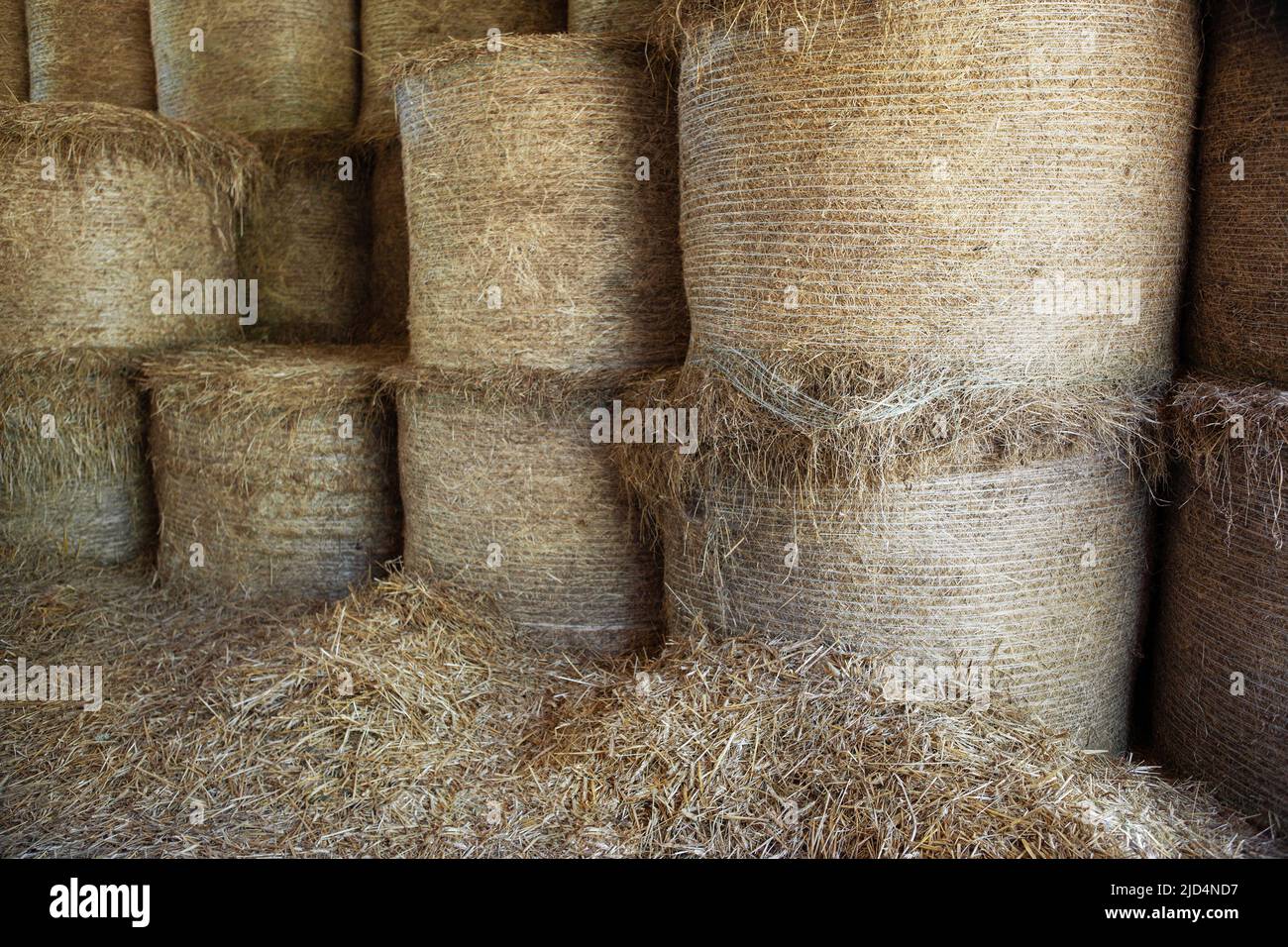 Haystacks in the farm shed Stock Photo - Alamy