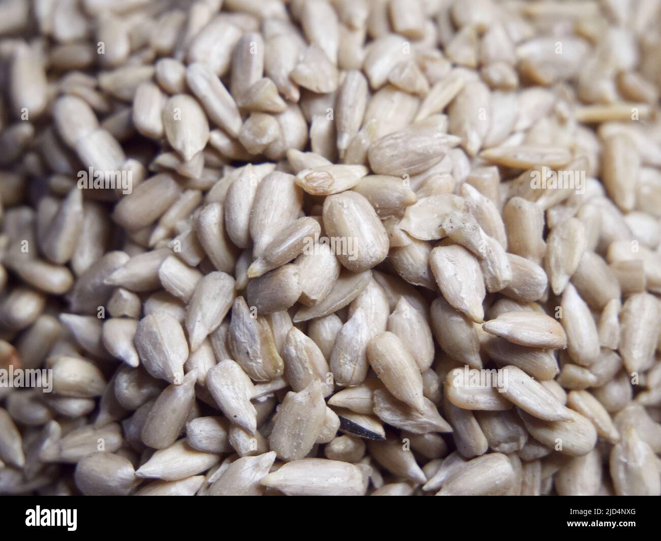 Full frame sunflower seed hi-res stock photography and images - Alamy