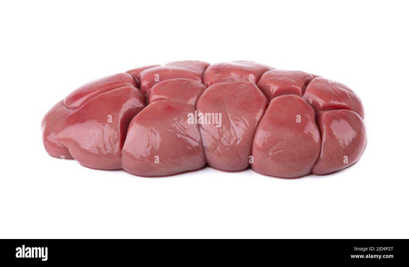 Beef kidney isolated on white background. Closeup. Raw cow kidney Stock ...